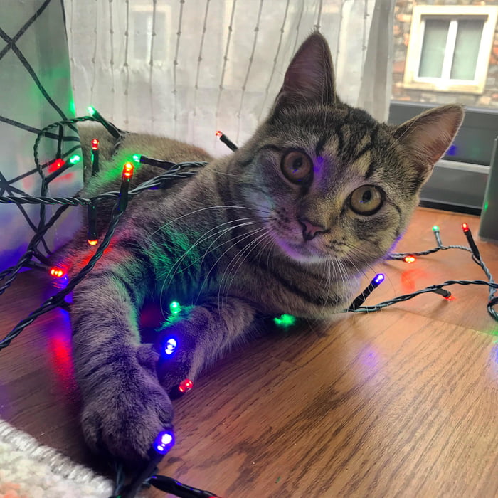 So helpful! 🎄 - 9GAG