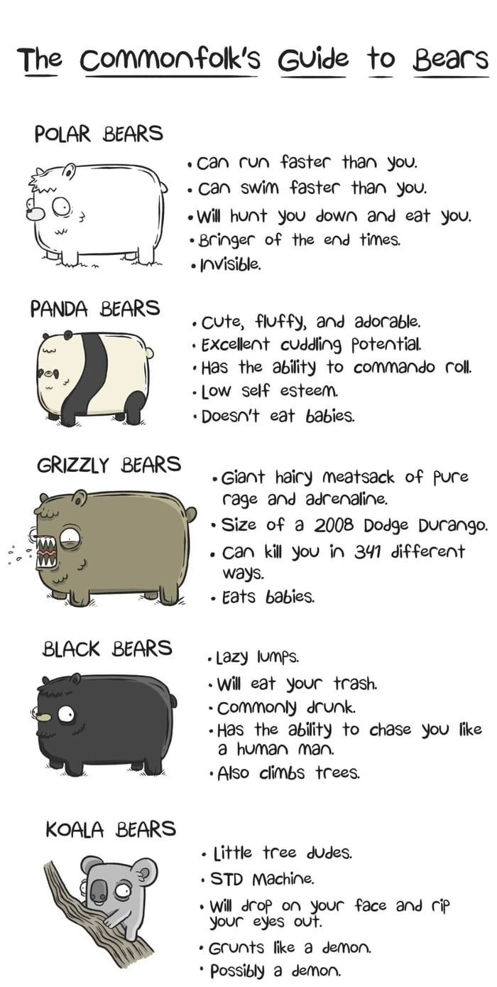 Know your bears - 9GAG