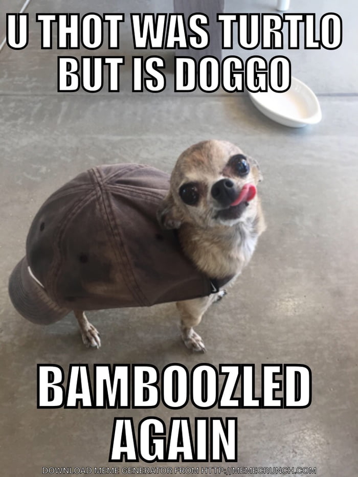 Bamboozled again! - 9GAG
