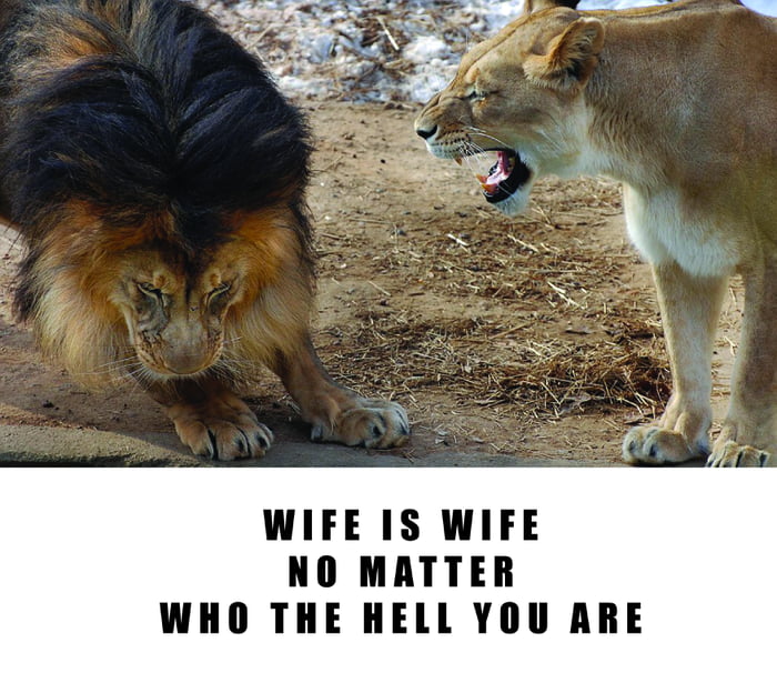 Wife is always right !! - 9GAG