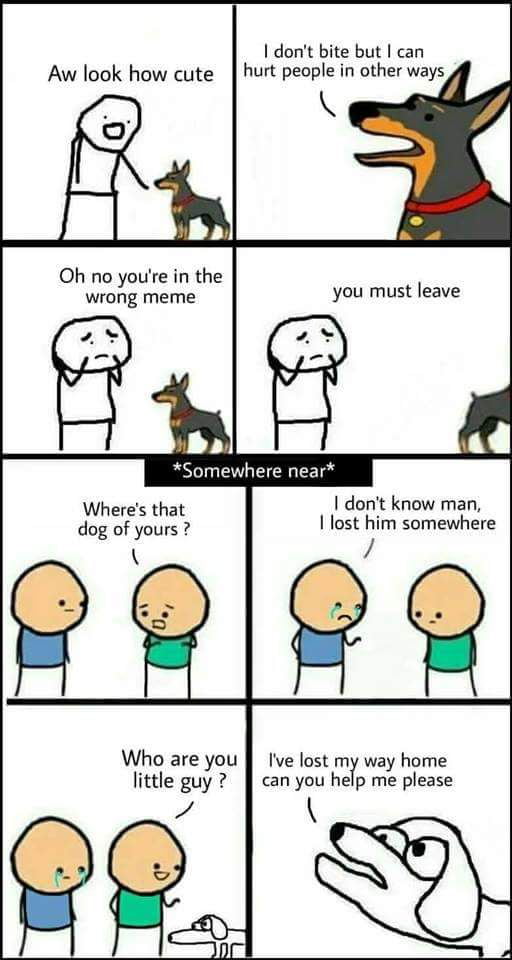 Wuf wuf - 9GAG