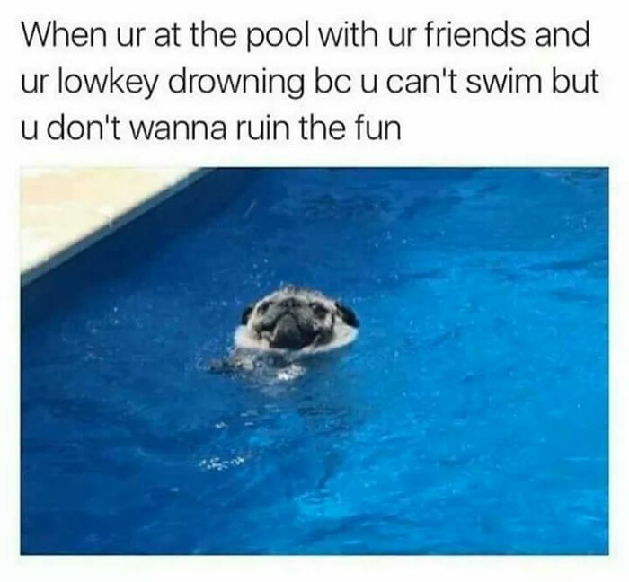 Gotta have fun sometime - 9GAG