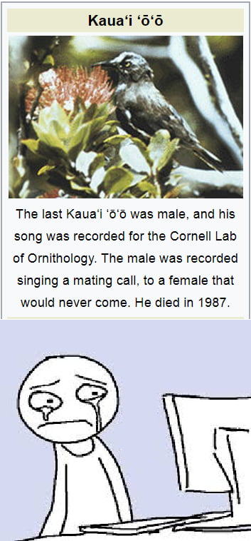 Feeling sad now... - 9GAG