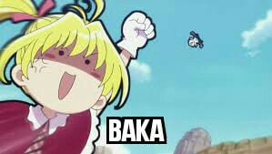 Baka means idiot, for the bakas that didn't knew - 9GAG