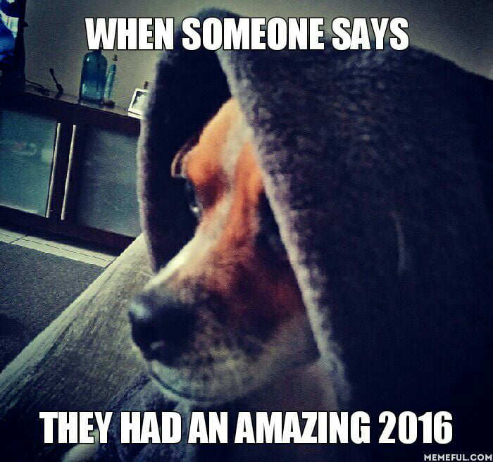 Meet Yoda, Sith Doge Lord, or Doge Kermit, or Emo Doge. - 9GAG