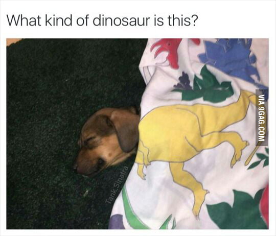 Doggosaurus Rex - 9GAG