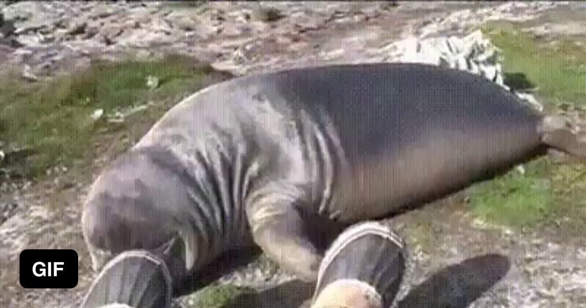 "Ahh.. let me just roll over and.. oh.. crap! damn it! ᴼᵂ﹗⋅⋅⋅ ᶠᴿᴵᴳᴳᴵᴺ ...