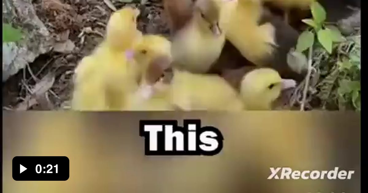 Brutal attack. - 9GAG