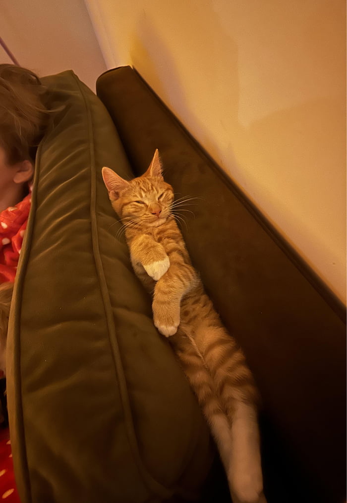 Sofa sandwich - 9GAG