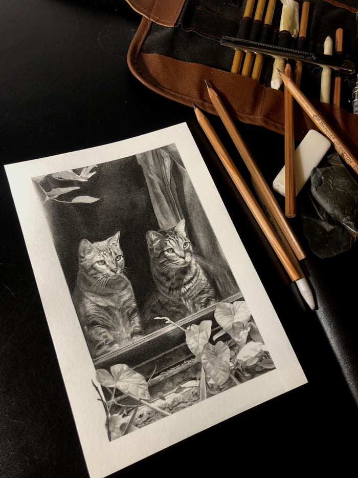 All cats are beautiful. Graphite on A5 paper - 9GAG