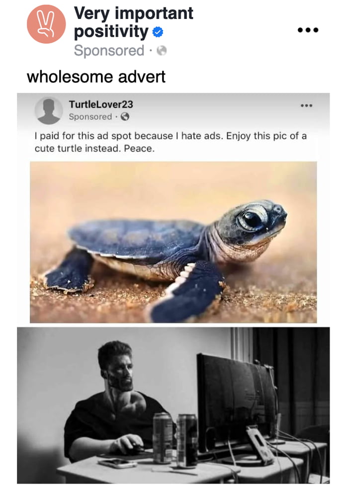 This wholesome ad of a wholesome ad - 9GAG
