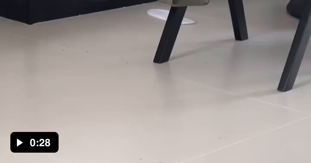 Attack 100%, Damage 0%, Cuteness 1000% 😍 - 9GAG