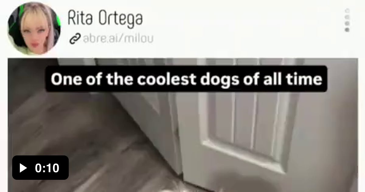 Creepy doggo - 9GAG