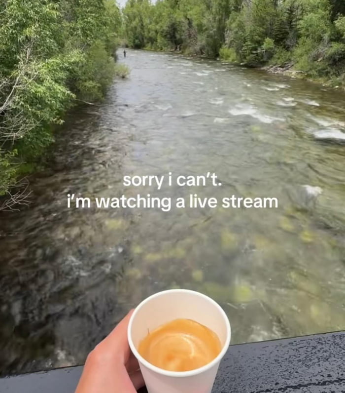 Watching a live stream of nature, the best kind of stream - 9GAG