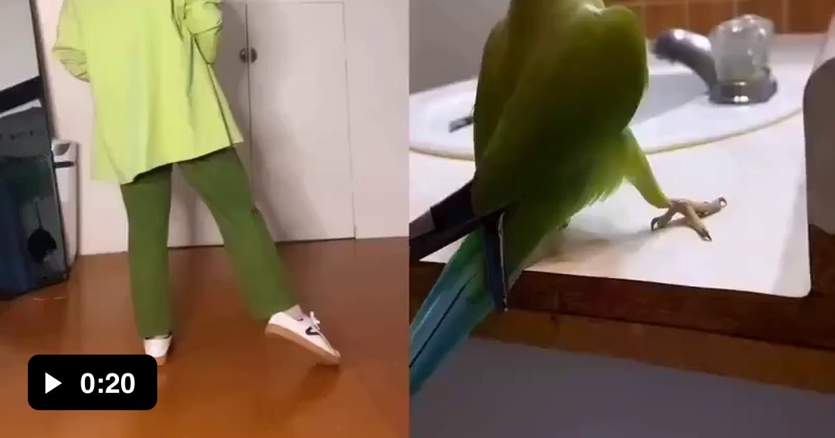 The sync is perfect - 9GAG