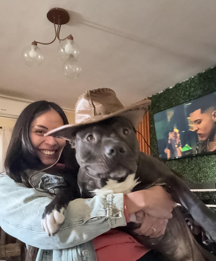 Cowboy doggo ready for his close-up - 9GAG