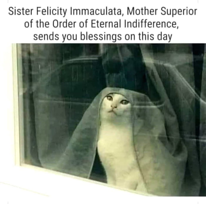 You are now blessed! - 9GAG