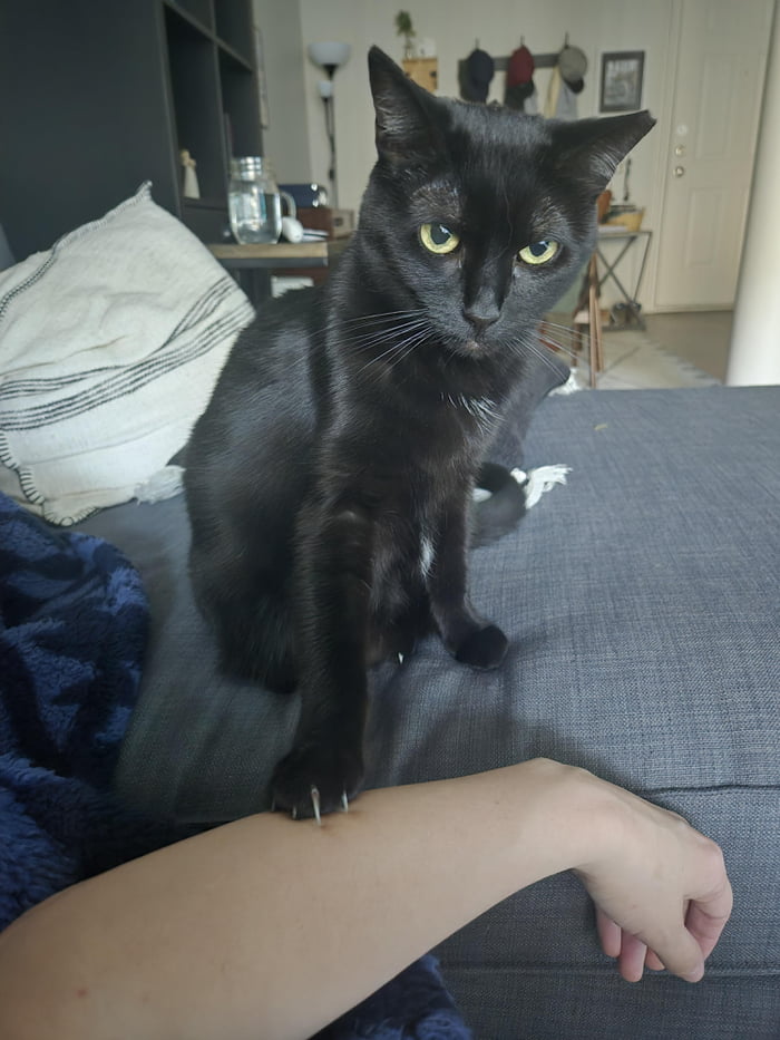 About to get a stern talking to. - 9GAG