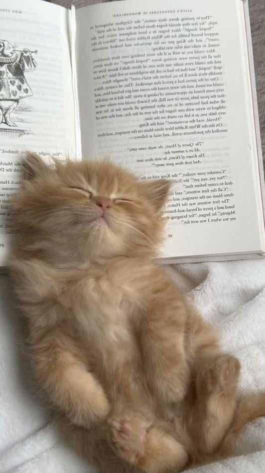 He is so tired - 9GAG