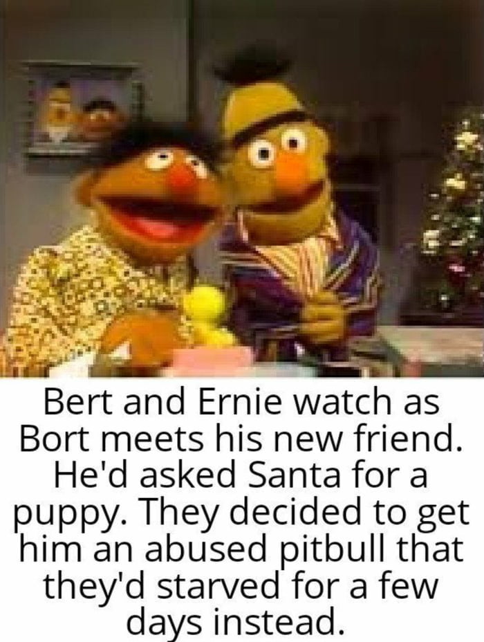 Bert & Ernie - 9GAG