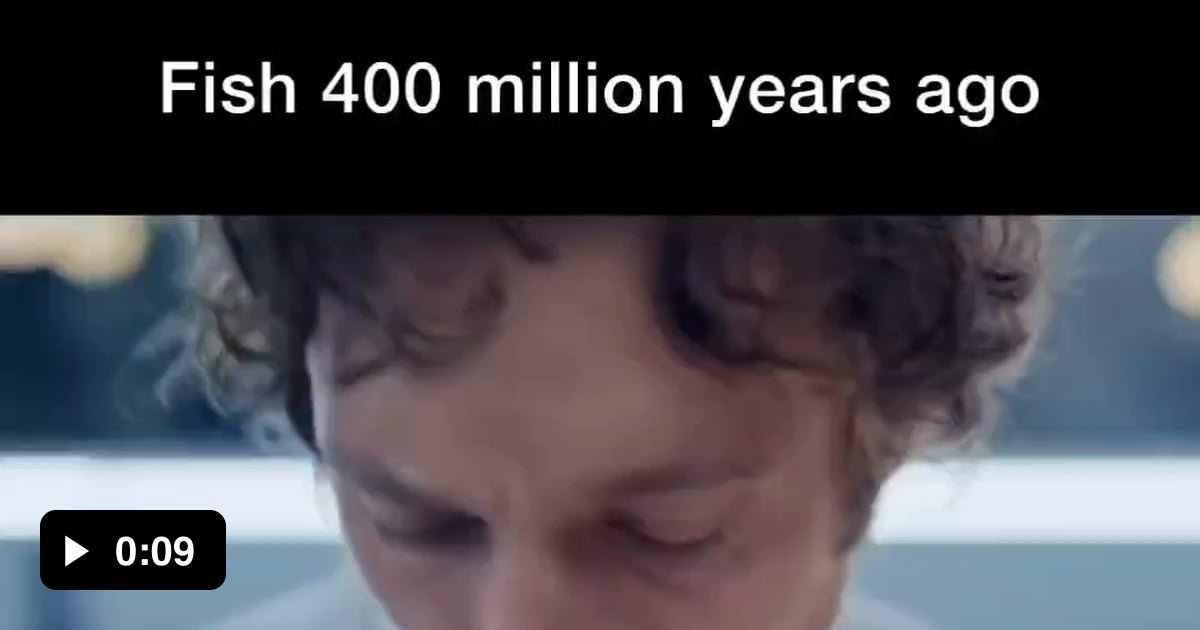 Evolution of a fish - 9GAG