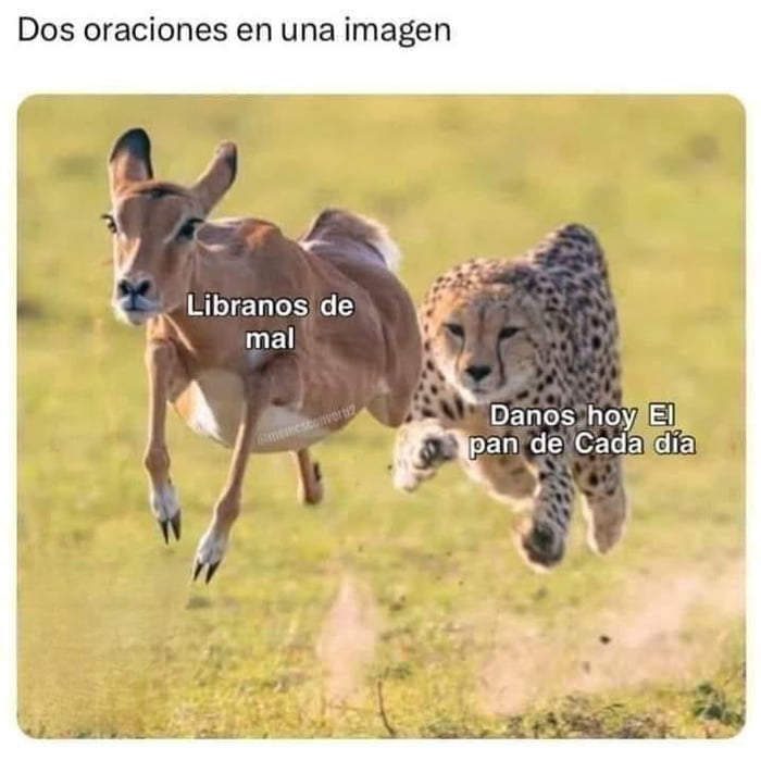 Y no nos dejes caer en la temteishon te lo pedimos Beibi Yisus. - 9GAG