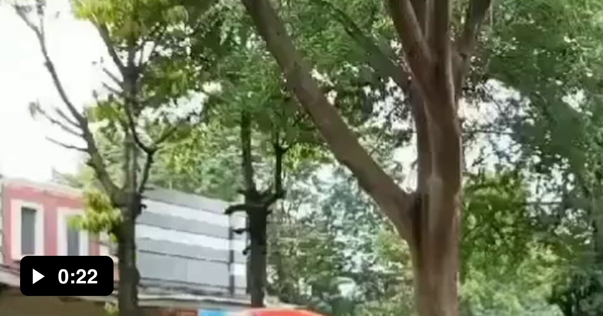 All of that is possible, definitely possible. as long as there is real action. - 9GAG