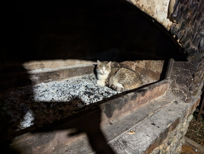 Barbeque cat - 9GAG