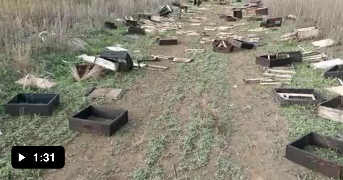 Entire bee farm destroyed by vandalism - 9GAG