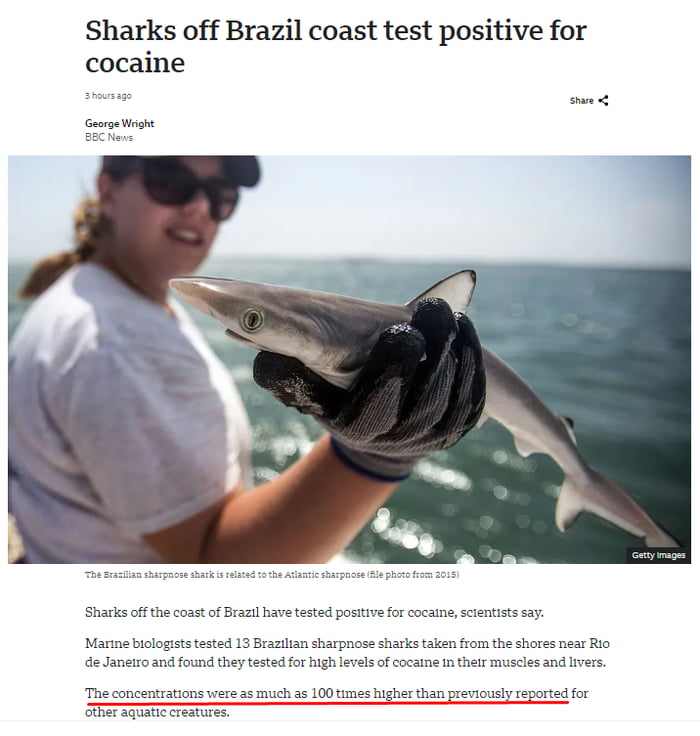 Cocaine Shark IRL - 9GAG