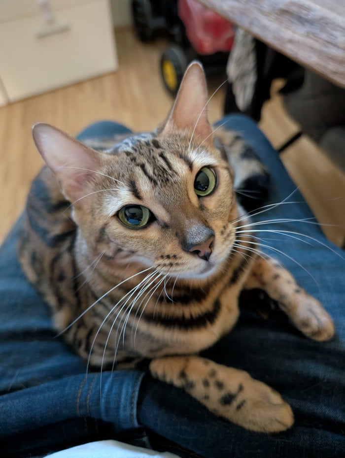 The only valid Reason to be 2 hours late for Work - 9GAG