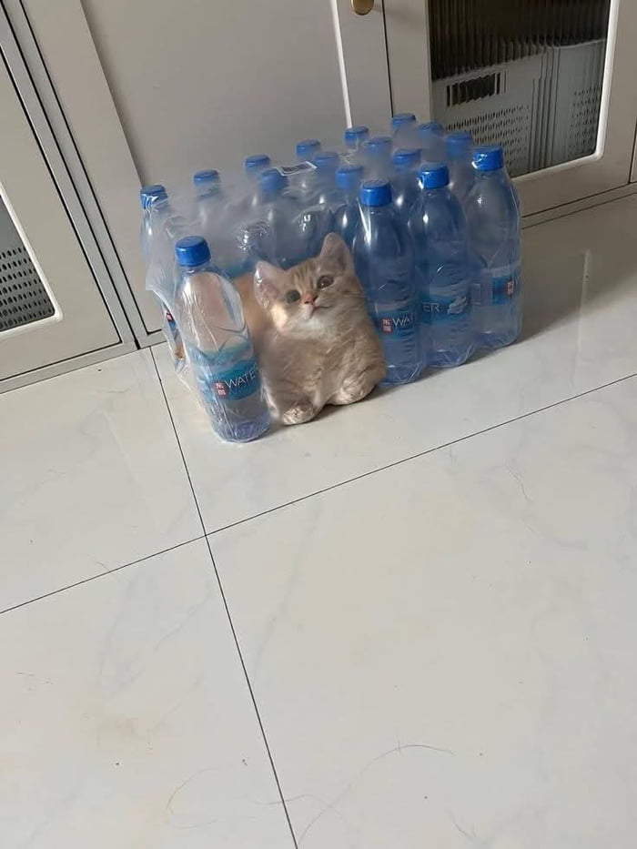 Seems normal to me - 9GAG