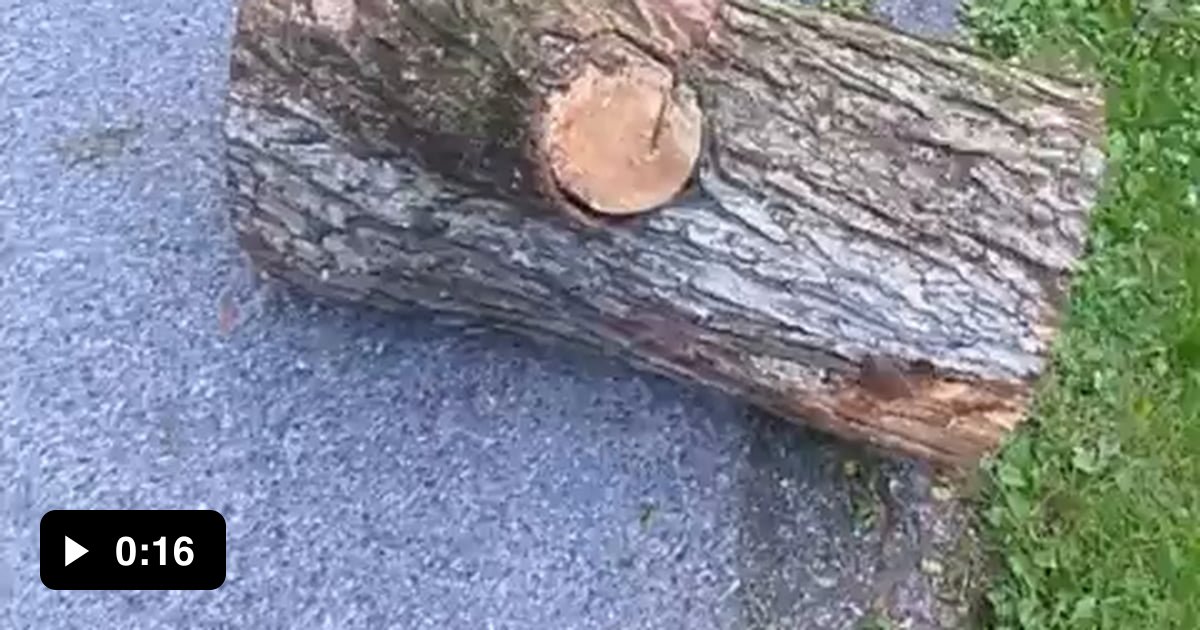 It just kept rolling - 9GAG