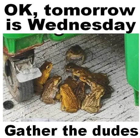 Almost wednesday my dudes - 9GAG