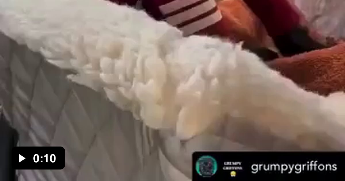 Bro's about to give a side quest - 9GAG