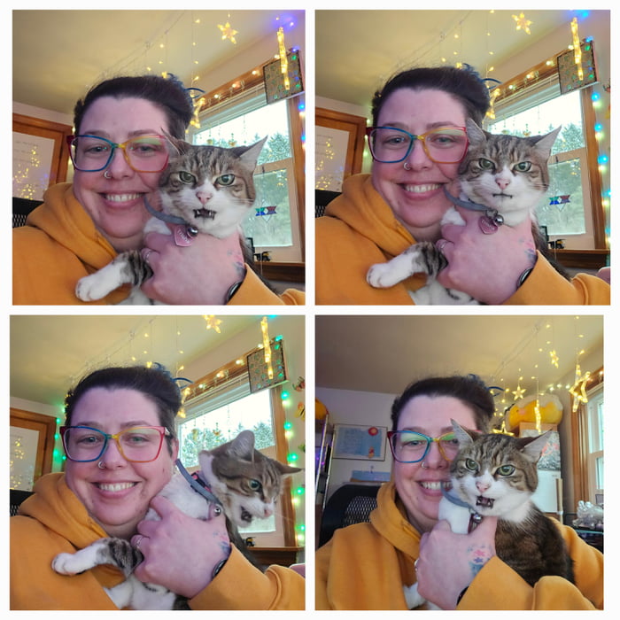 Let me down right meow! - 9GAG