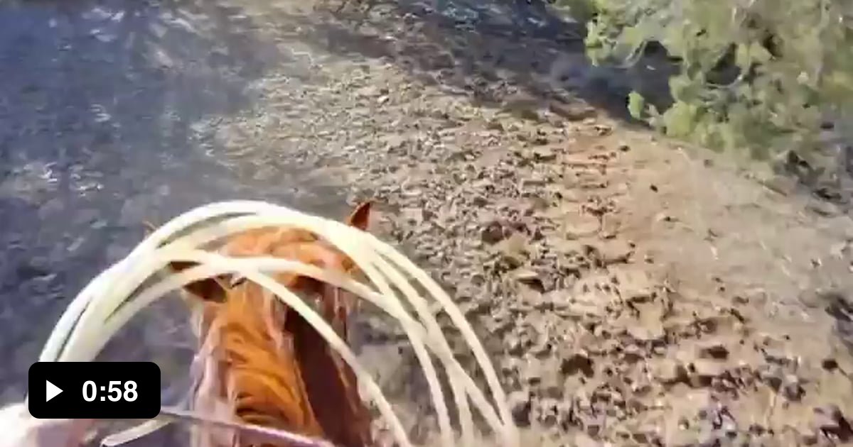 POV you are Cowboy trying to catch a Bull - 9GAG