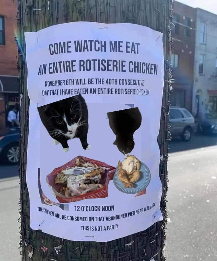 Sounds like party to me - 9GAG