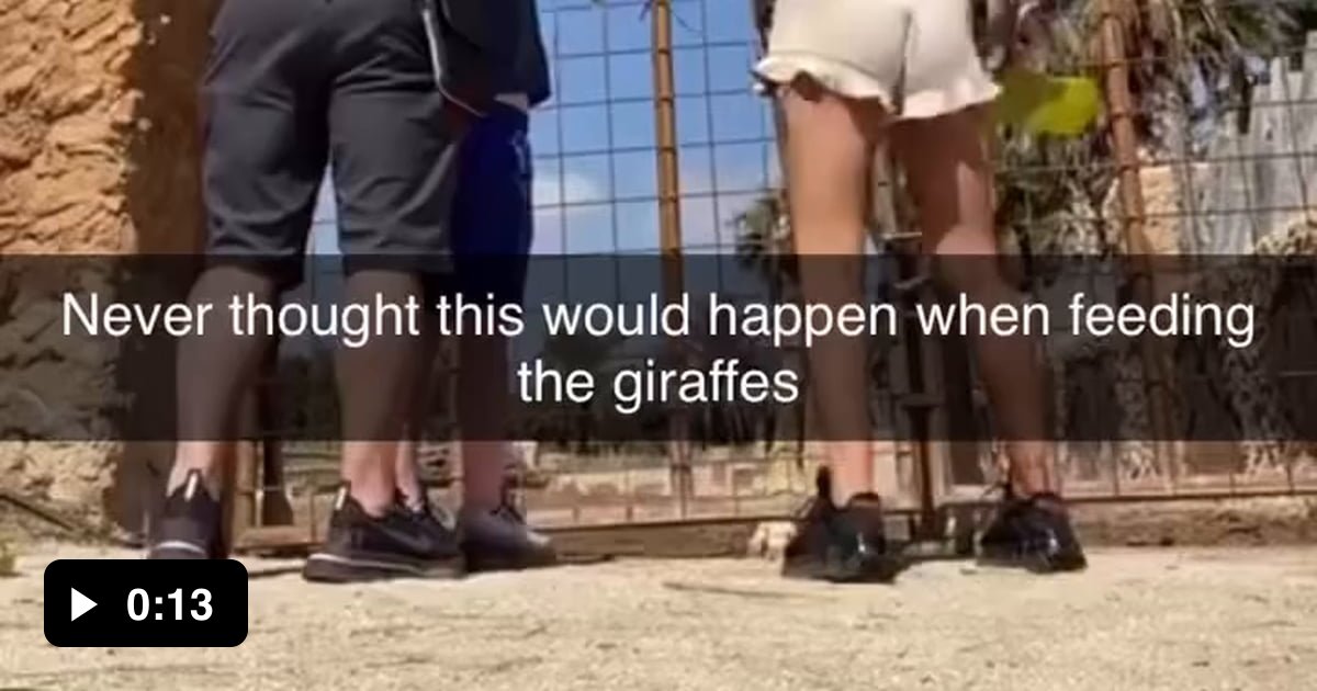 When a giraffe says 'I'll take it from here!' - 9GAG