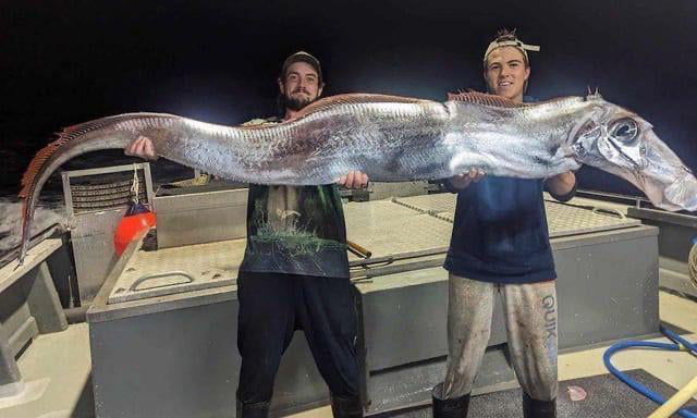 Two fishermen in Australia caught this bizarre looking fish - 9GAG