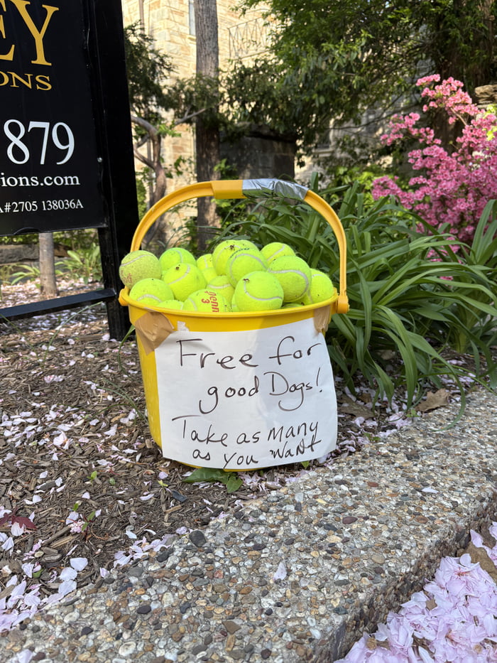 Free for good dogs! - 9GAG