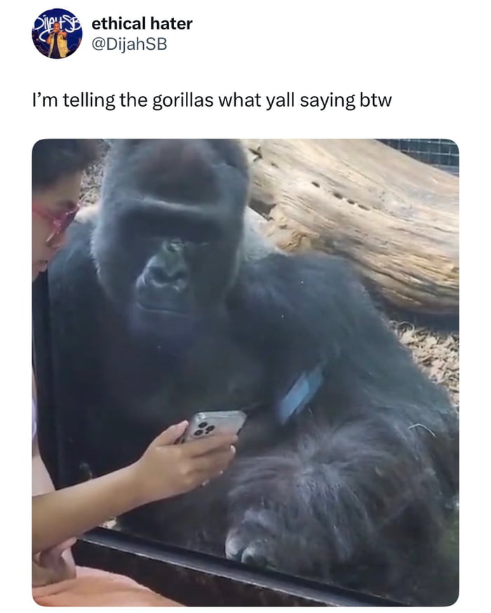 Gorilla: 'I'm in the loop now, humans.' - 9GAG
