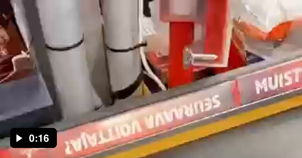 A professional model