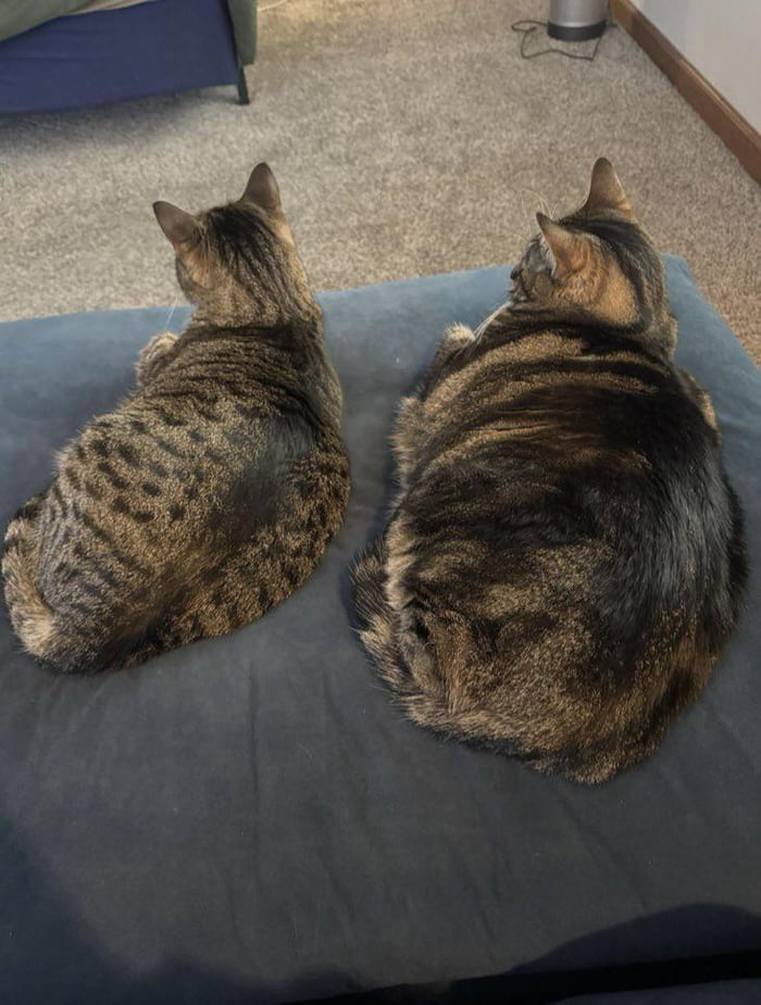 Would you like that regular or super sized ? 😂 - 9GAG