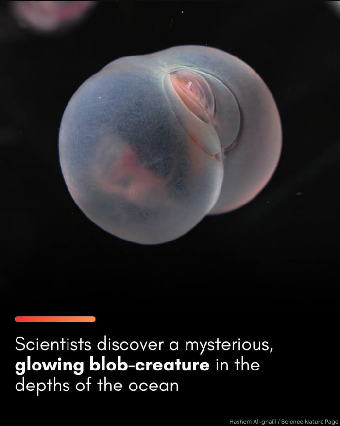 First women in evolution - 9GAG