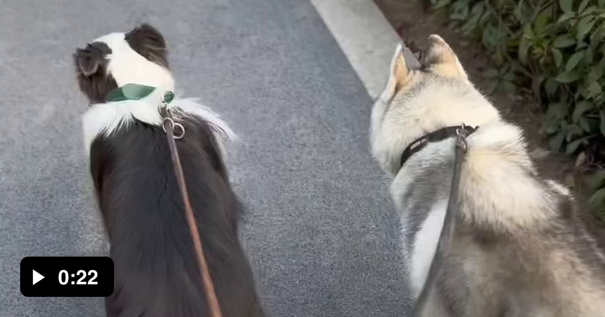 Hold it for a moment - 9GAG