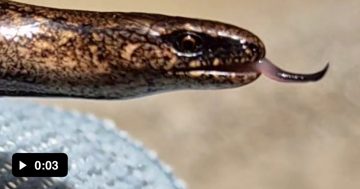 When she says "Don't stop, I'm close" - 9GAG