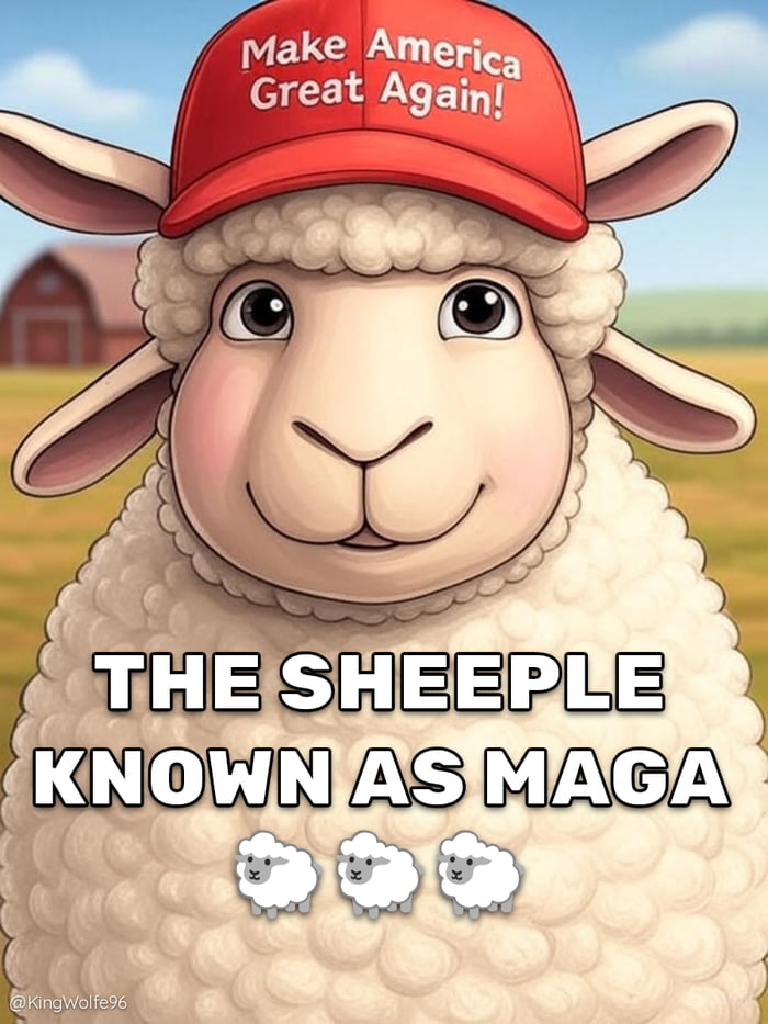 MAGA Sheeple 🐑 - 9GAG