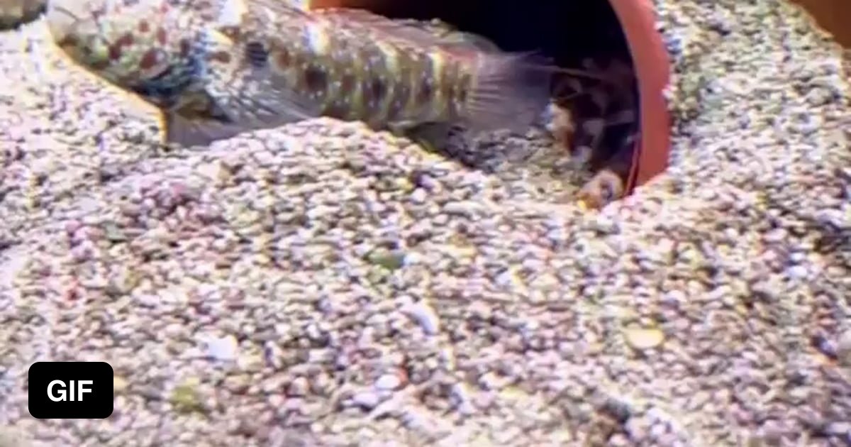 Are you just going to sit there or can you help clean? - 9GAG