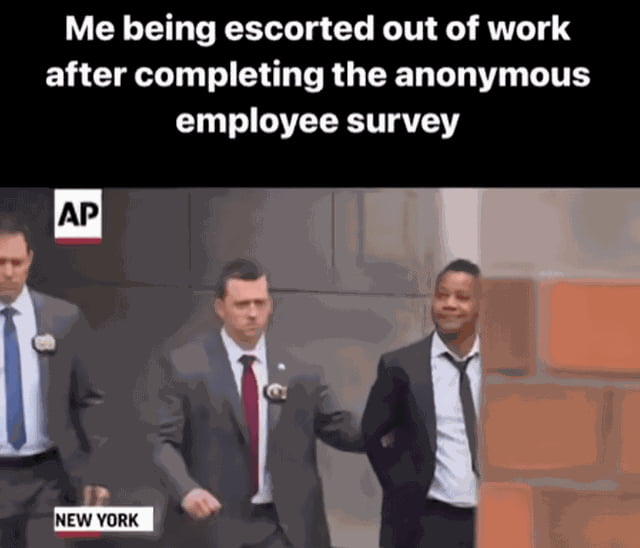 Filled out that anonymous survey on employee satisfaction today. - 9GAG